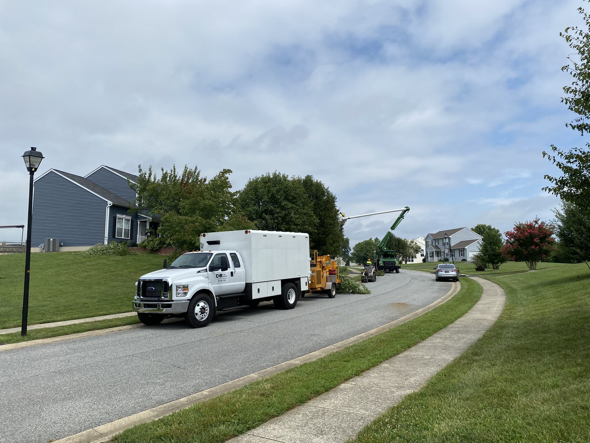 C & R Tree Service Reviews - Newark, DE | Angi