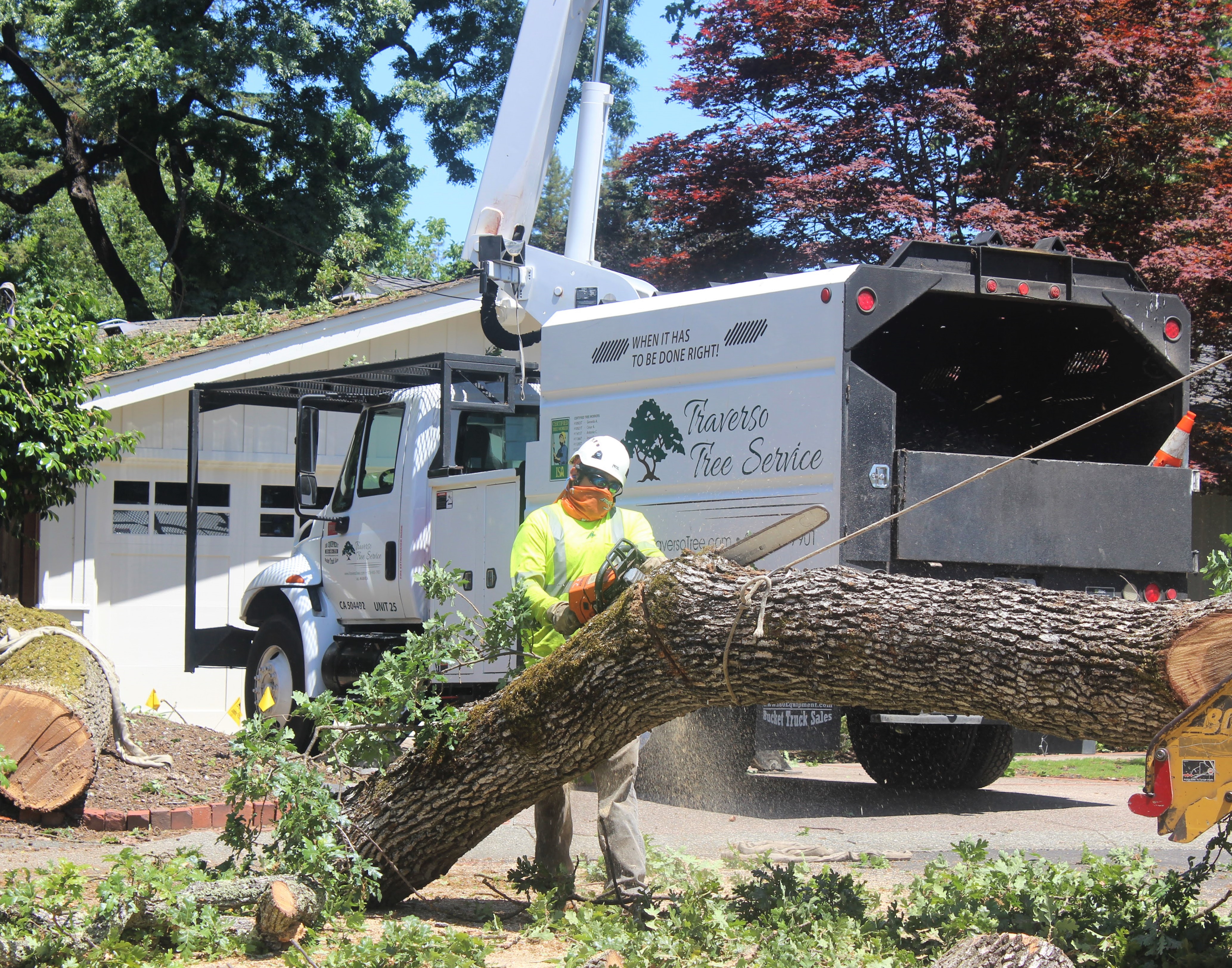 Traverso Tree Service, Inc Reviews - Martinez, CA | Angi