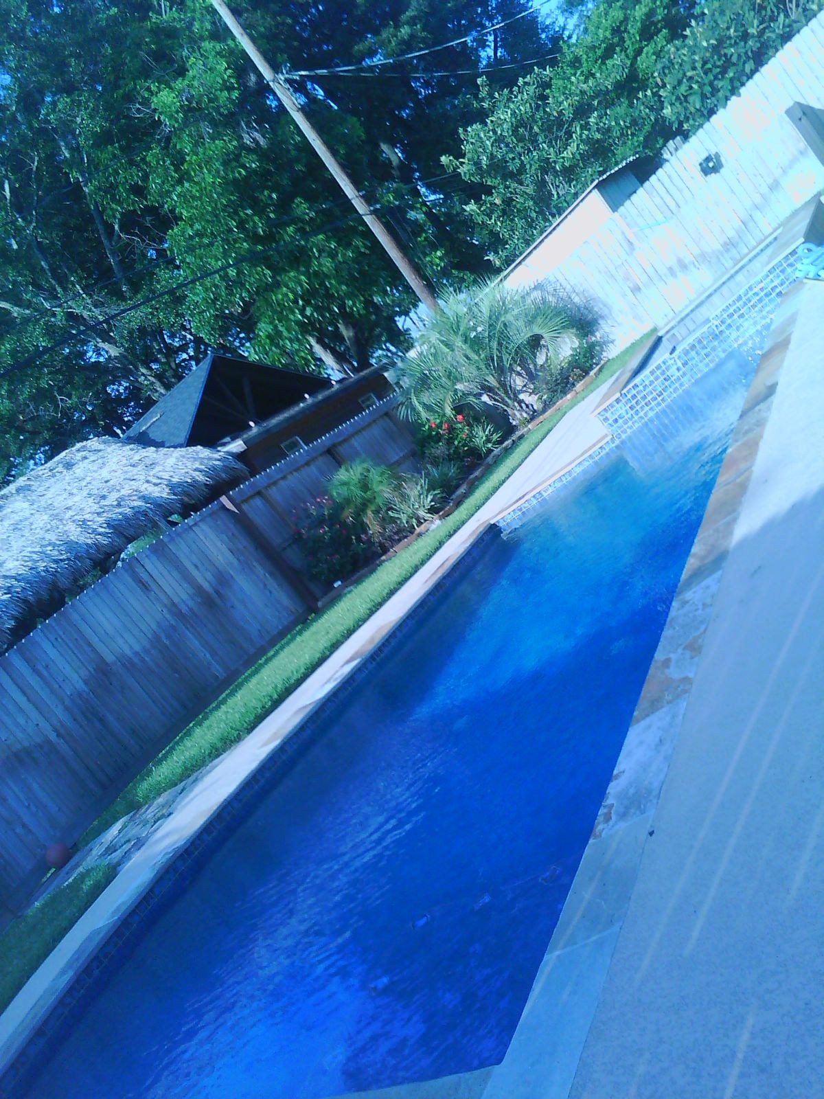 Blancas pool servise Reviews - Houston, TX | Angi