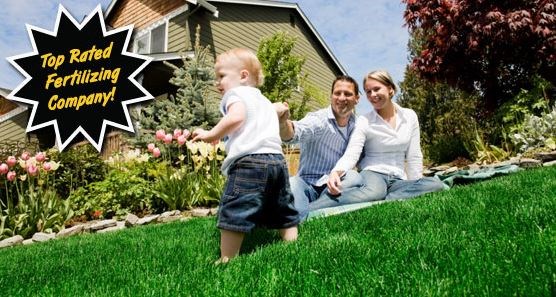 LCS Lawn & Tree Service Reviews - Maplewood, MN | Angi