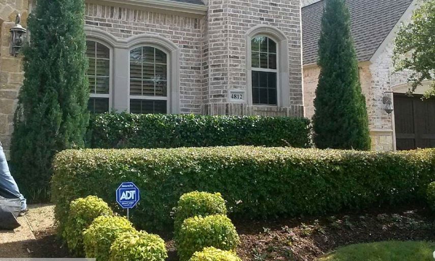 Terra Turf Landscape Reviews - Plano, TX | Angi