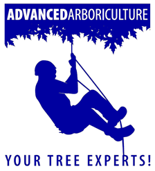 Advanced Arboriculture LLC Reviews - Odenton, MD | Angi