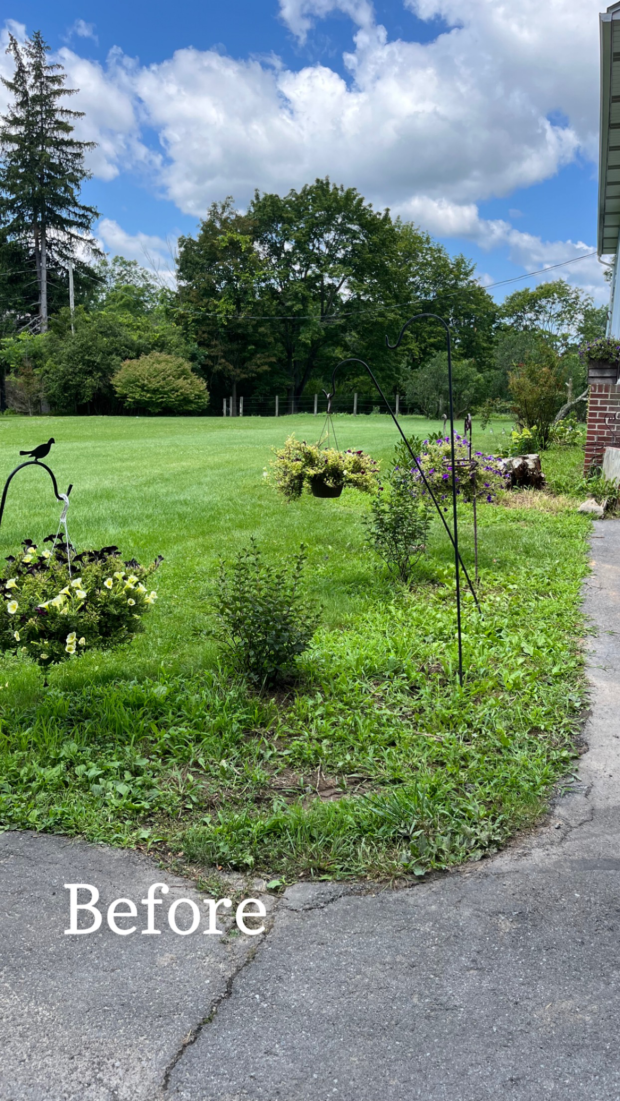 S&A Lawn Care & Maintenance Reviews - Centre Hall, PA | Angi
