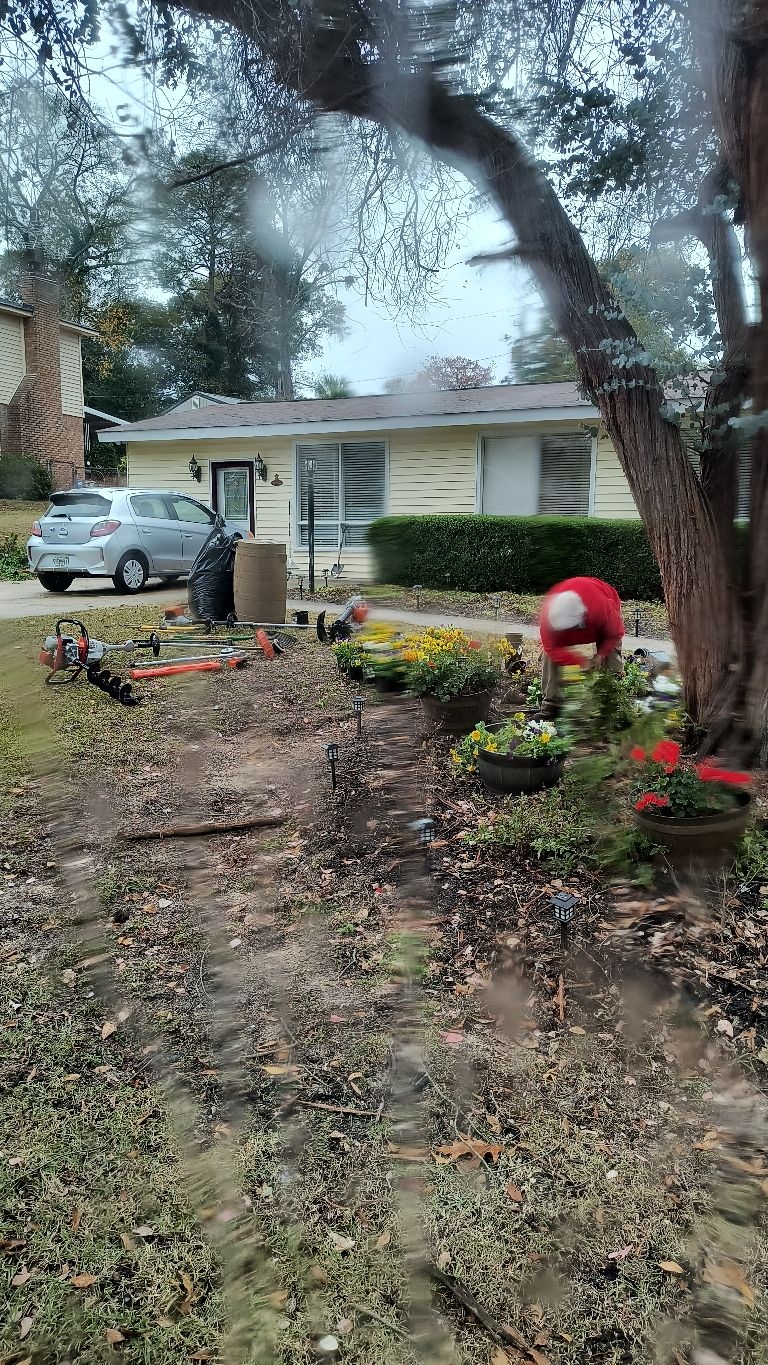 AAA Union Tree Service & Stump Removal Reviews - Union, SC | Angi