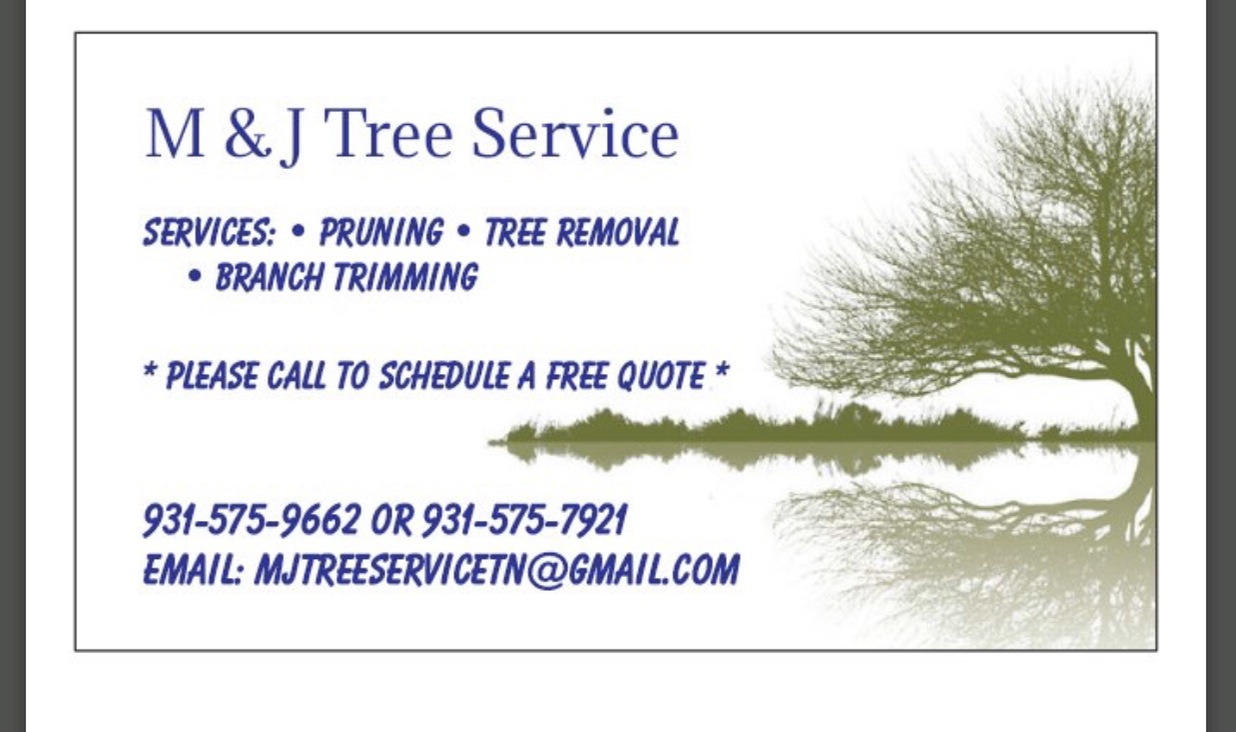 Top 6 Best Tree Removal Services in Lewisburg TN | Angi [Angie's List]