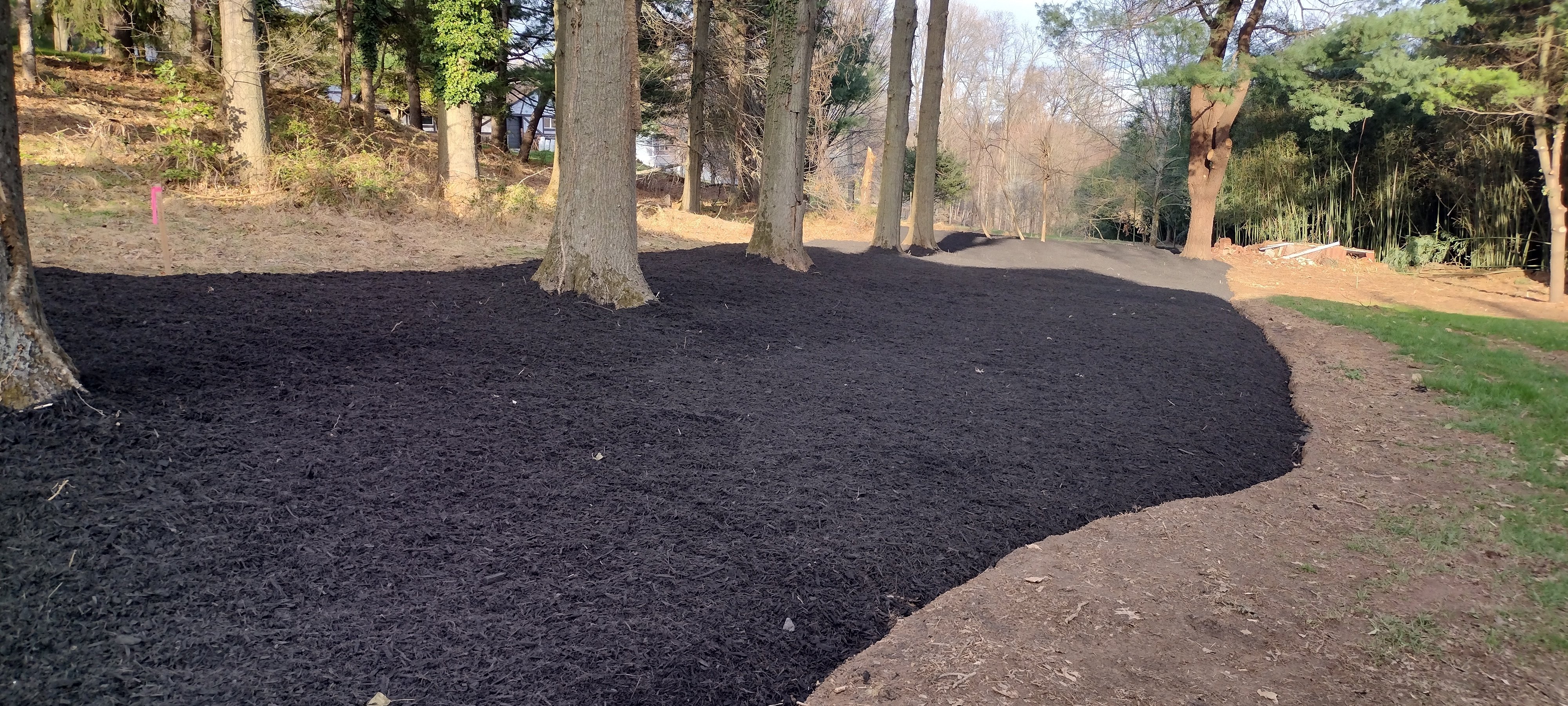 Machado Landscaping and Tree Service Reviews - Owings Mills, MD | Angi