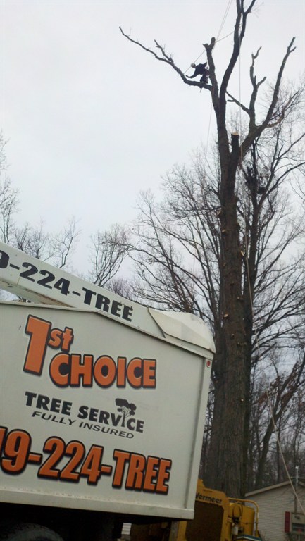 1st Choice Tree Service Reviews - Lima, OH | Angi