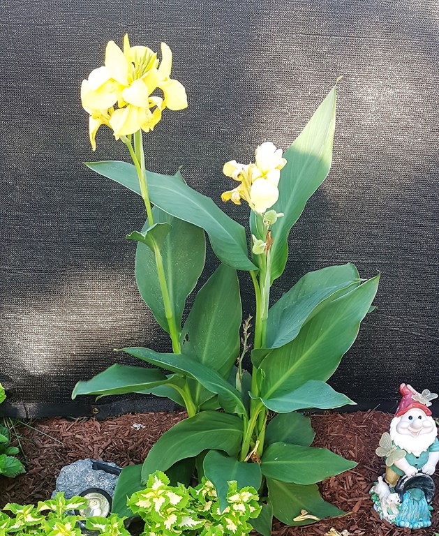 A&J Landscape Services Reviews - South Hadley, MA | Angi