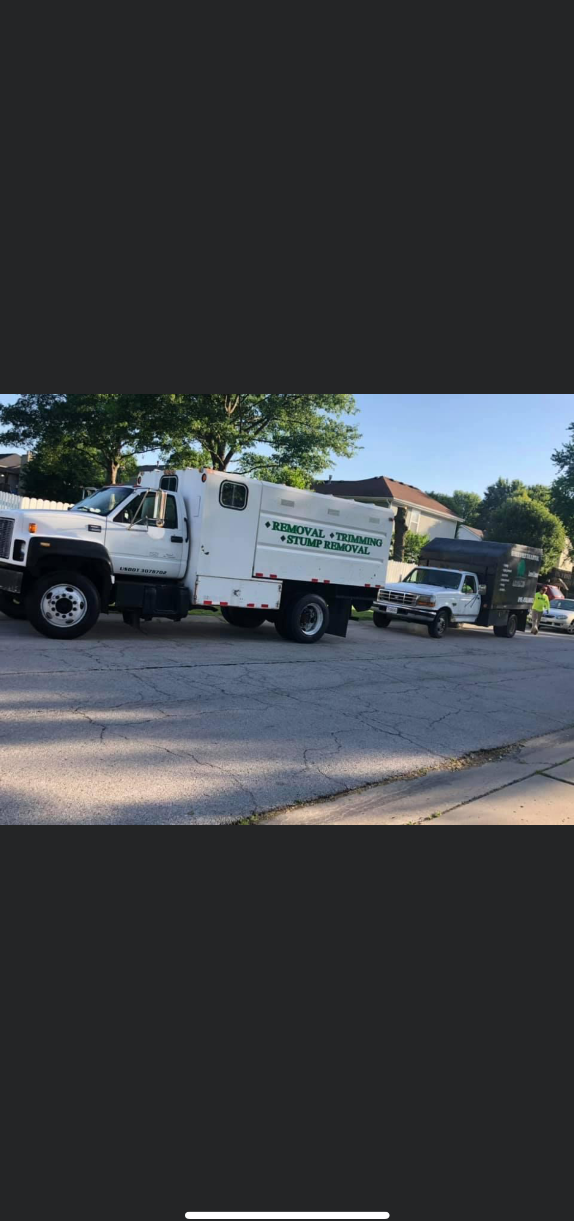JL Absolute Tree Service Reviews - Independence, MO | Angi