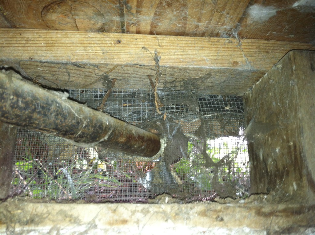 Green City Pest Control Reviews - Renton, WA | Angi