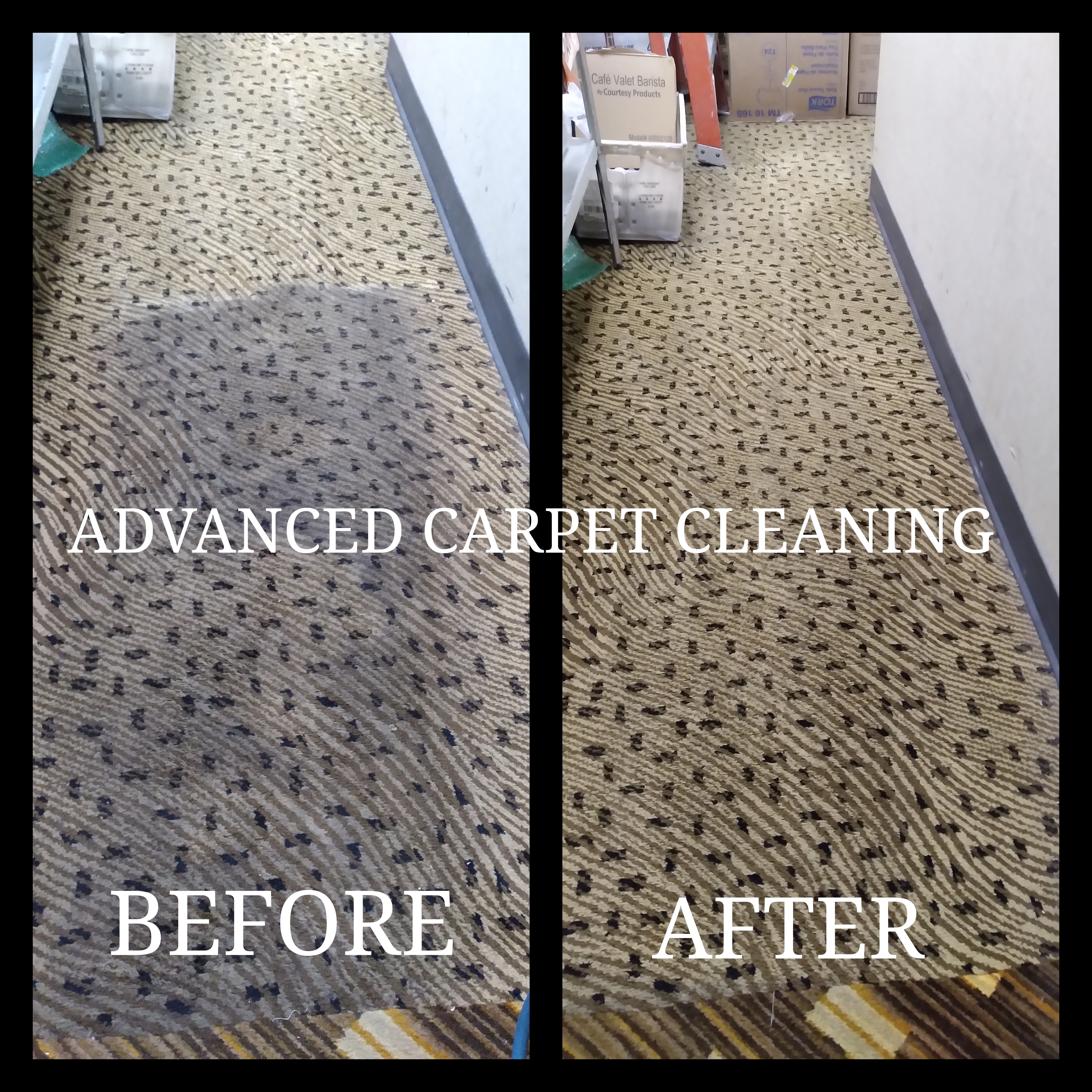 Advanced Carpet Cleaning Reviews - Louisville, KY | Angi
