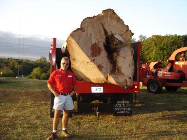 Murphy Tree Service Reviews - VILLA RICA, GA | Angi