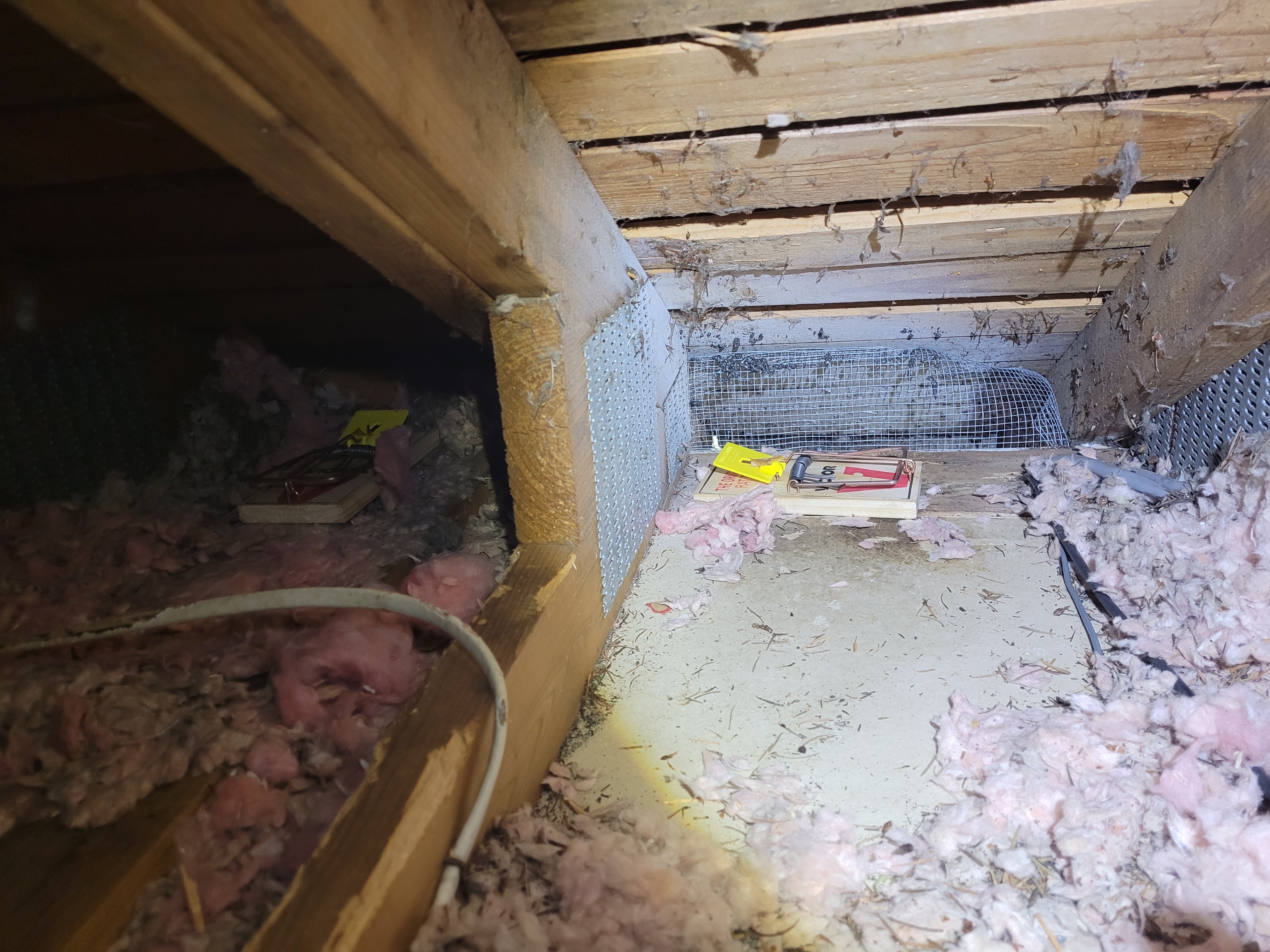 Be Gone Pest Solutions Reviews - Renton, WA | Angi