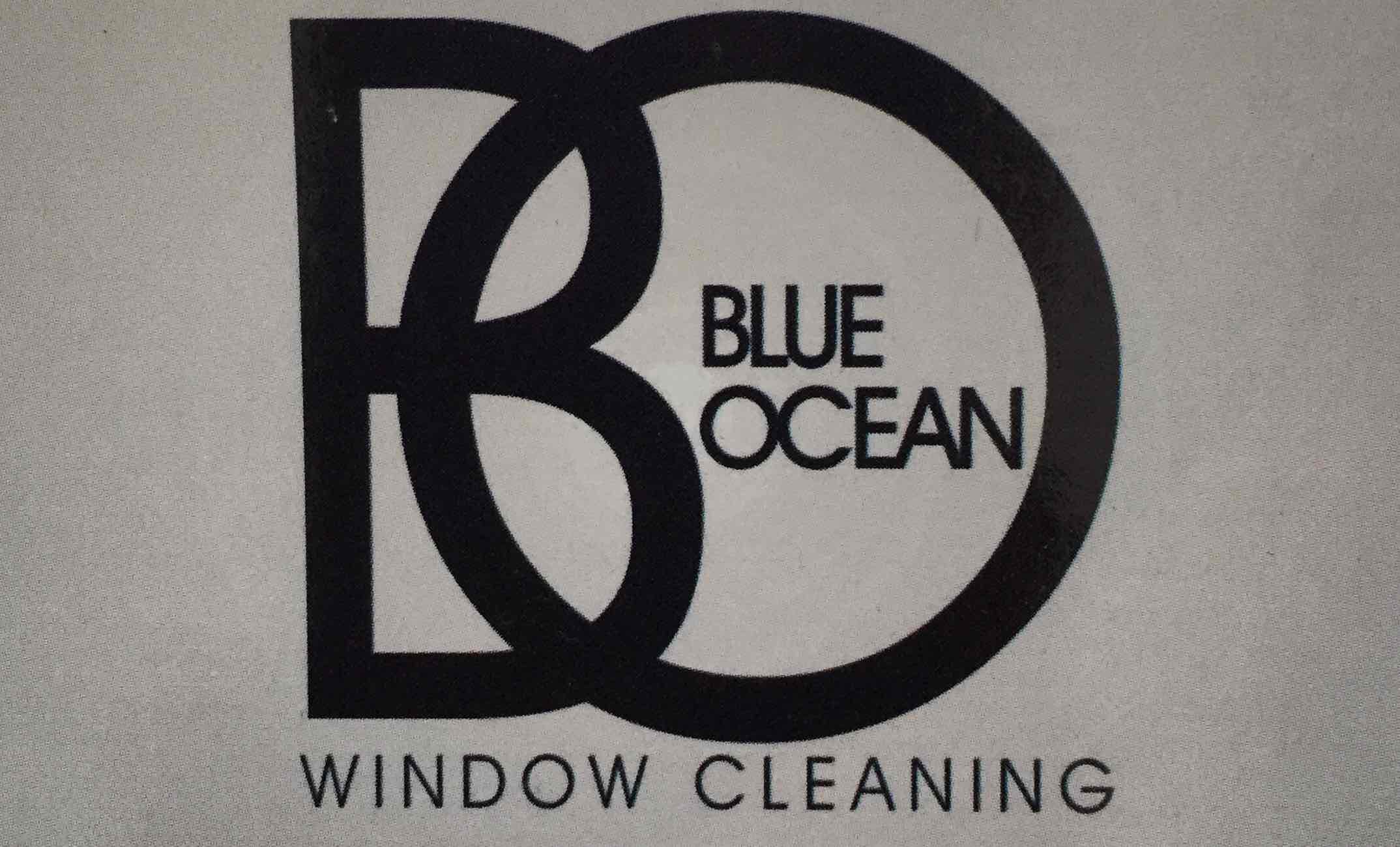 Blue Ocean Window Cleaning Reviews - Bergenfield, NJ | Angi