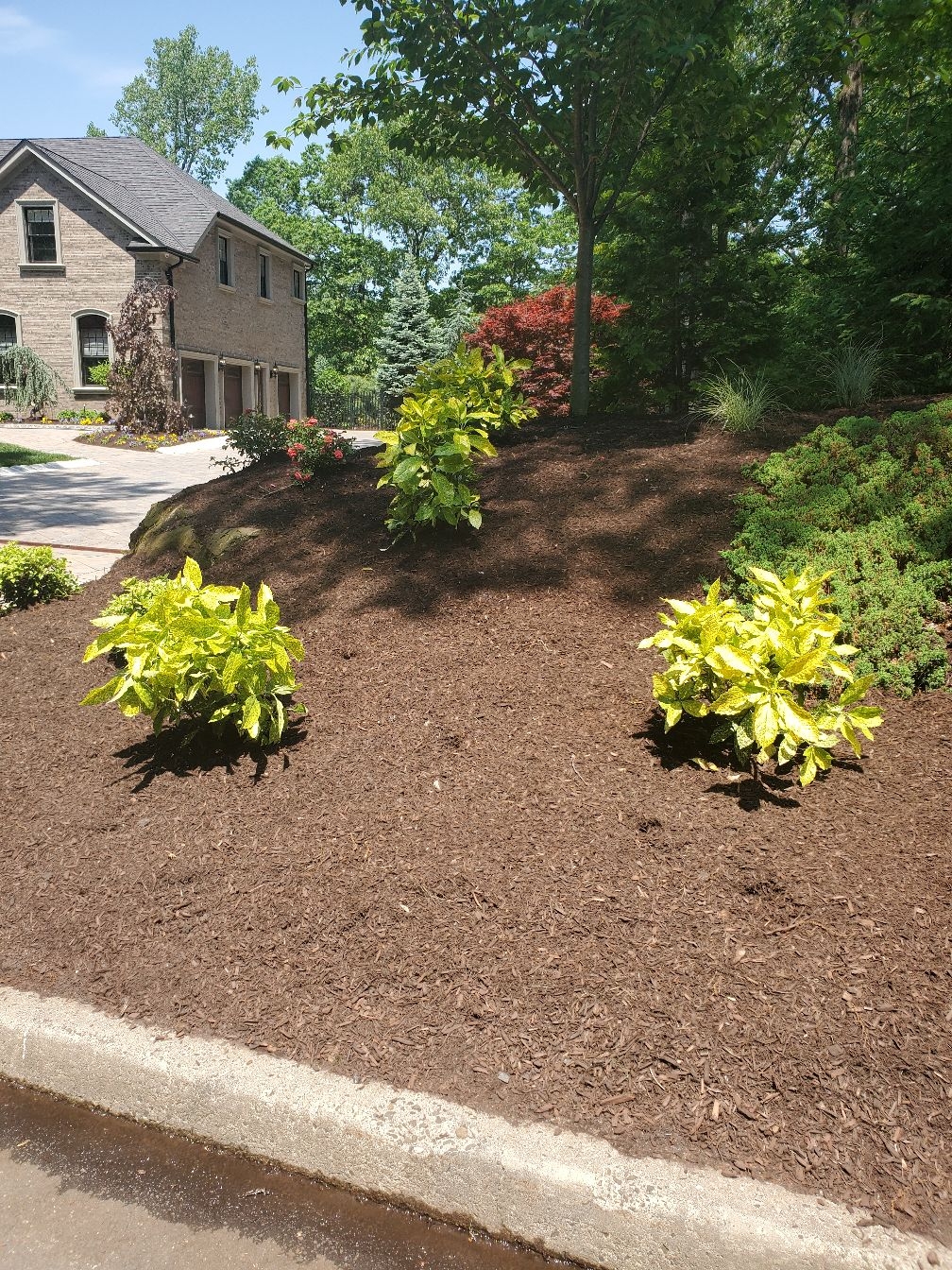 Perla Lawn Maintenance & Landscaping Reviews - Hackensack, NJ | Angi