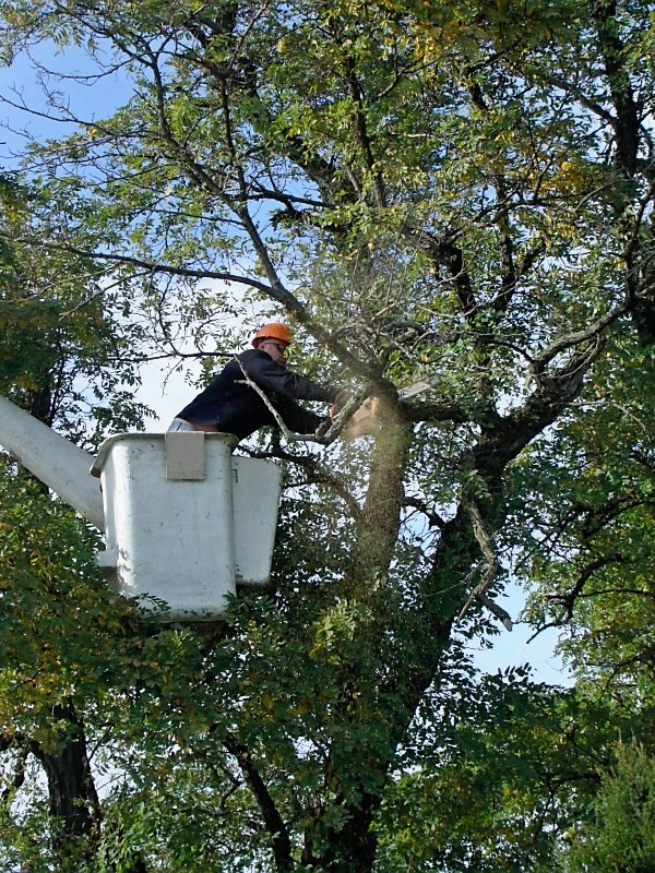 C2 Crane & Tree Service Reviews - Manchester, MD | Angi