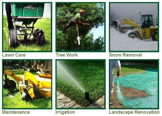 Piedmont Lawn Service Reviews - Midlothian, VA | Angi
