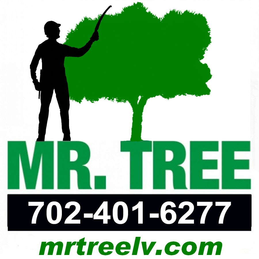 Mr. Tree Service Reviews - Henderson, NV | Angi
