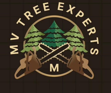 MV Tree Experts Reviews - Woodstock, GA | Angi