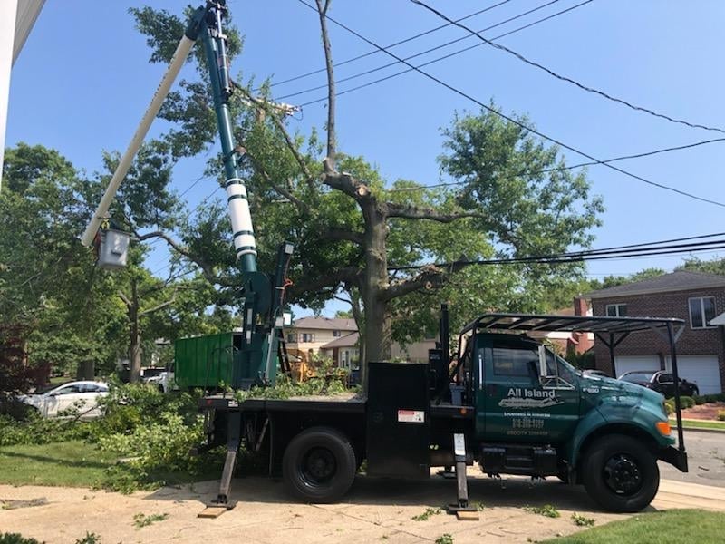 All Island Tree Service Corp Reviews - Freeport, NY | Angi