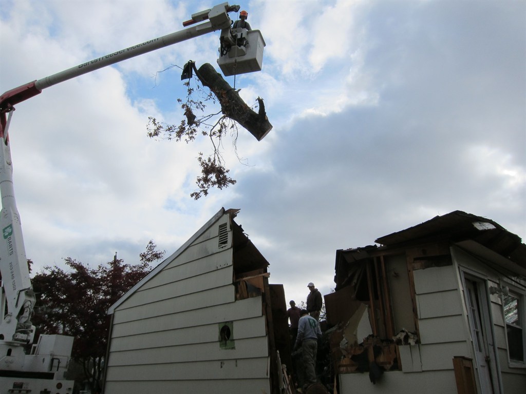Barts Tree Service Reviews - Danbury, CT | Angi