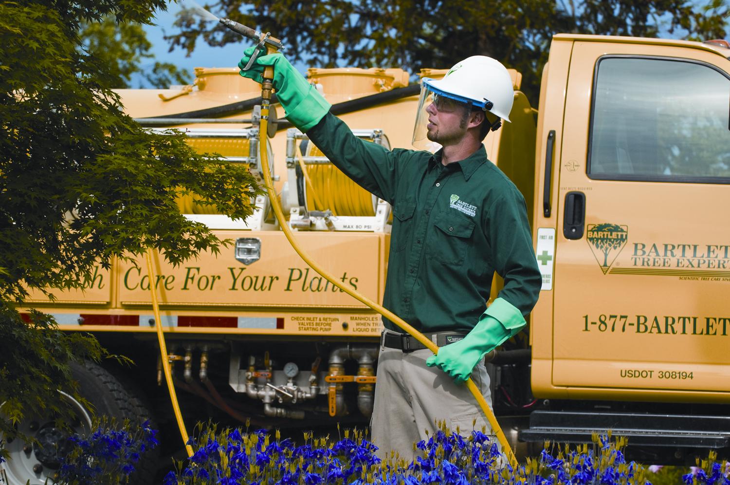 Bartlett Tree Experts Reviews - Los Gatos, CA | Angi