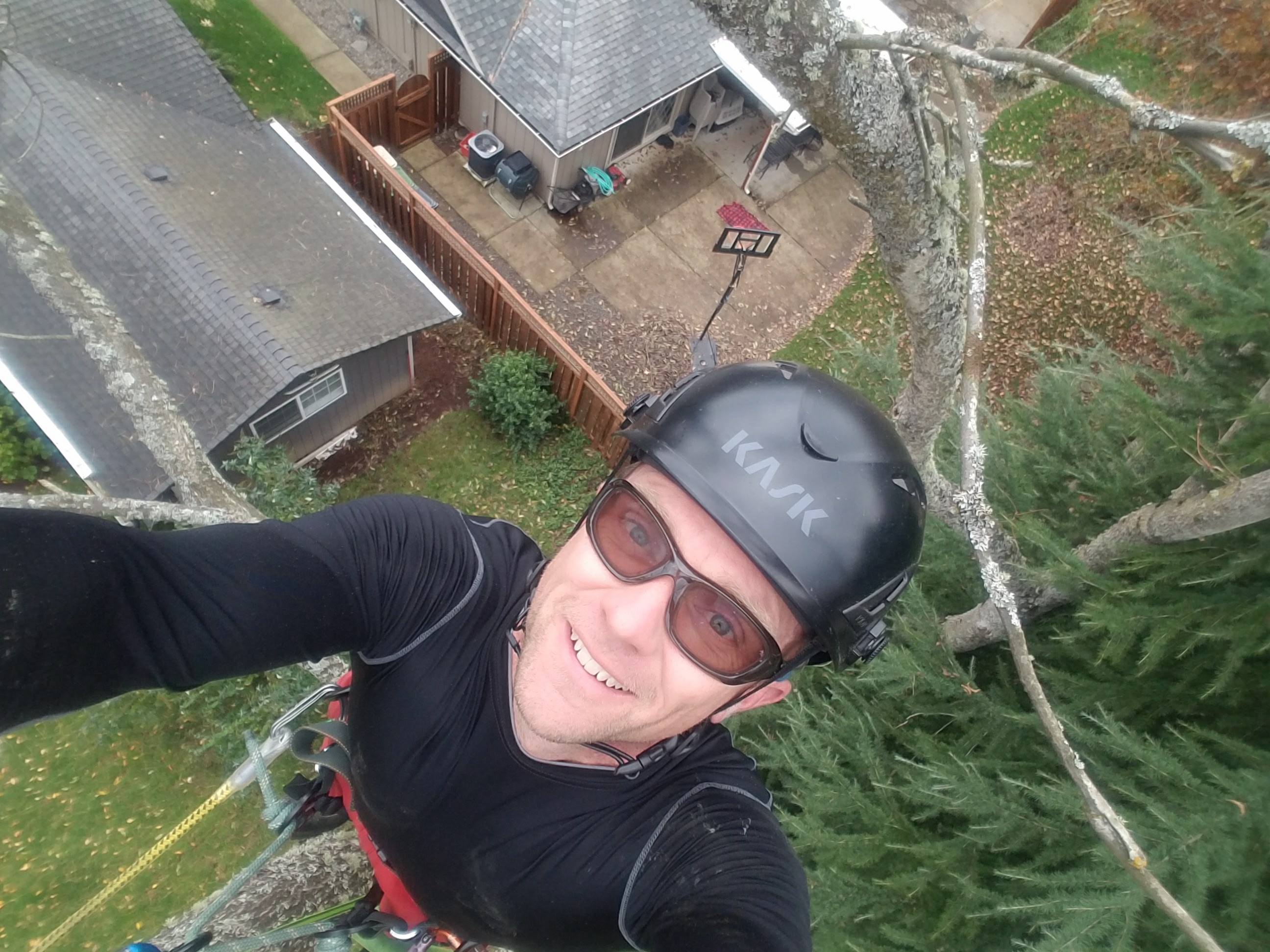 Matthews Tree Care LLC Reviews - Beaverton, OR | Angi