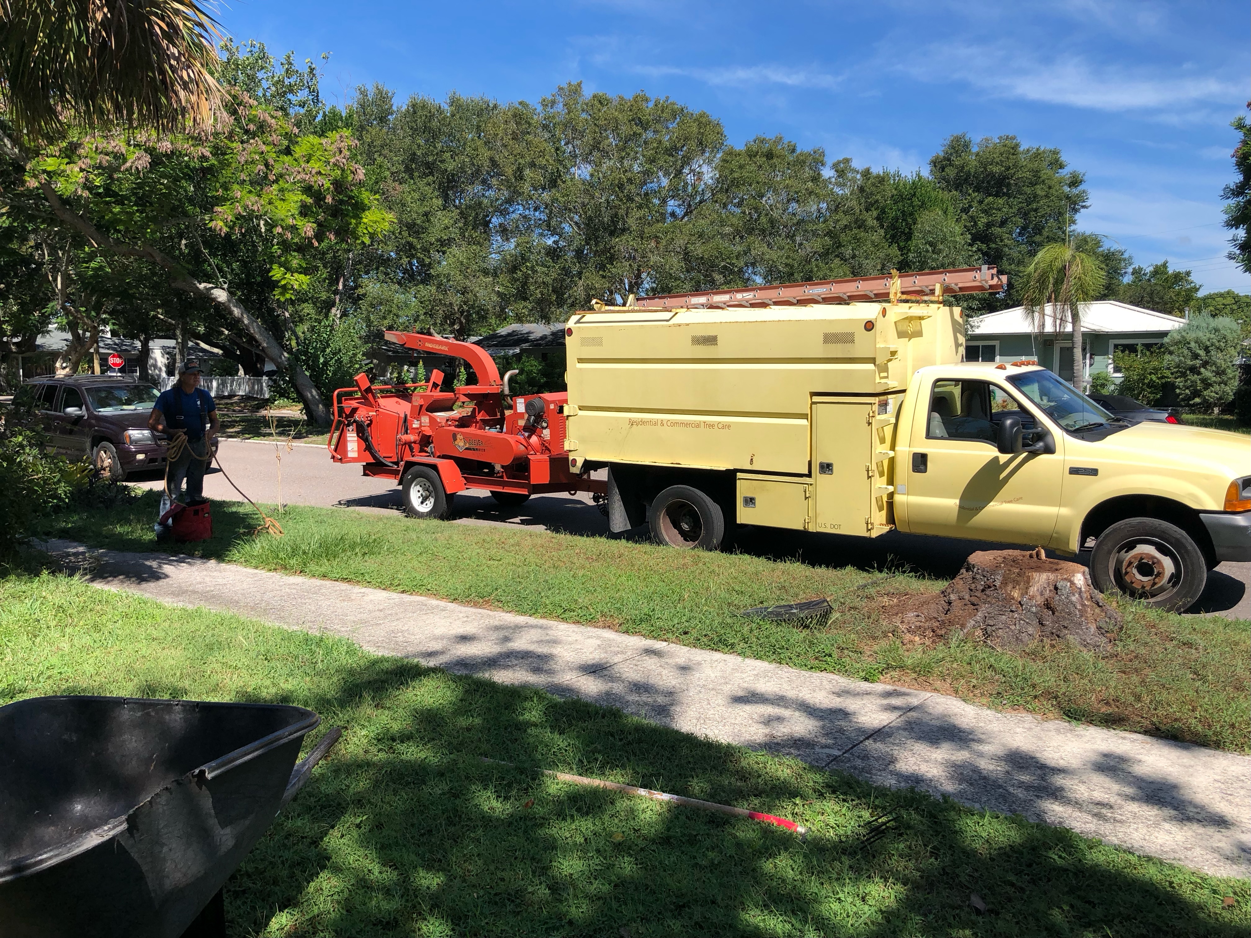 Peninsula Tree Service Reviews - St Petersburg, FL | Angi