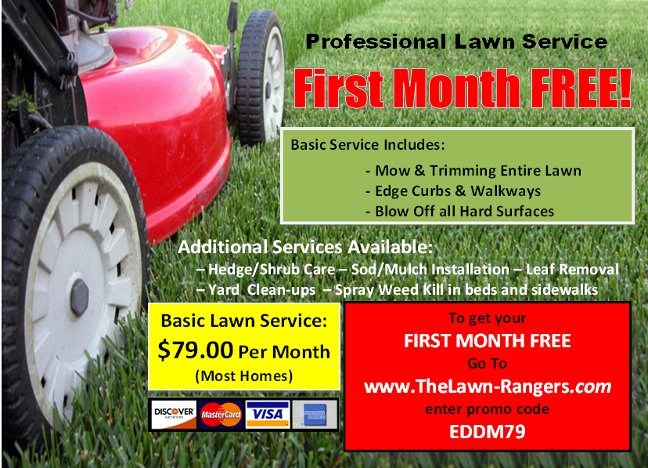 The Lawn Rangers Reviews - Saint Petersburg, FL | Angi