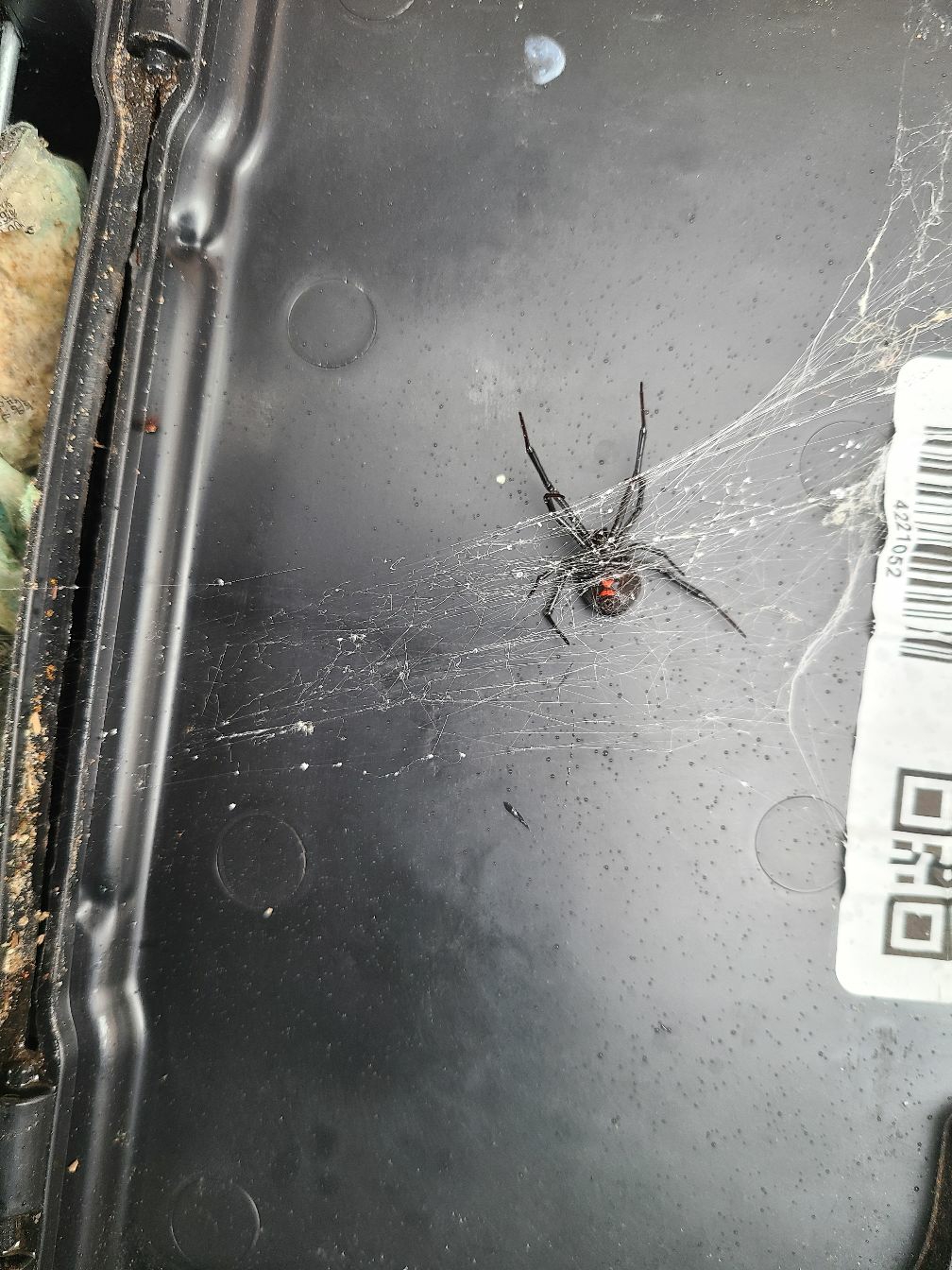 4 Seasons Pest Management Reviews - Aurora, CO | Angi