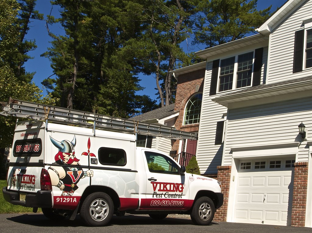 Viking Pest Control - Audubon Reviews - Audubon, NJ | Angi