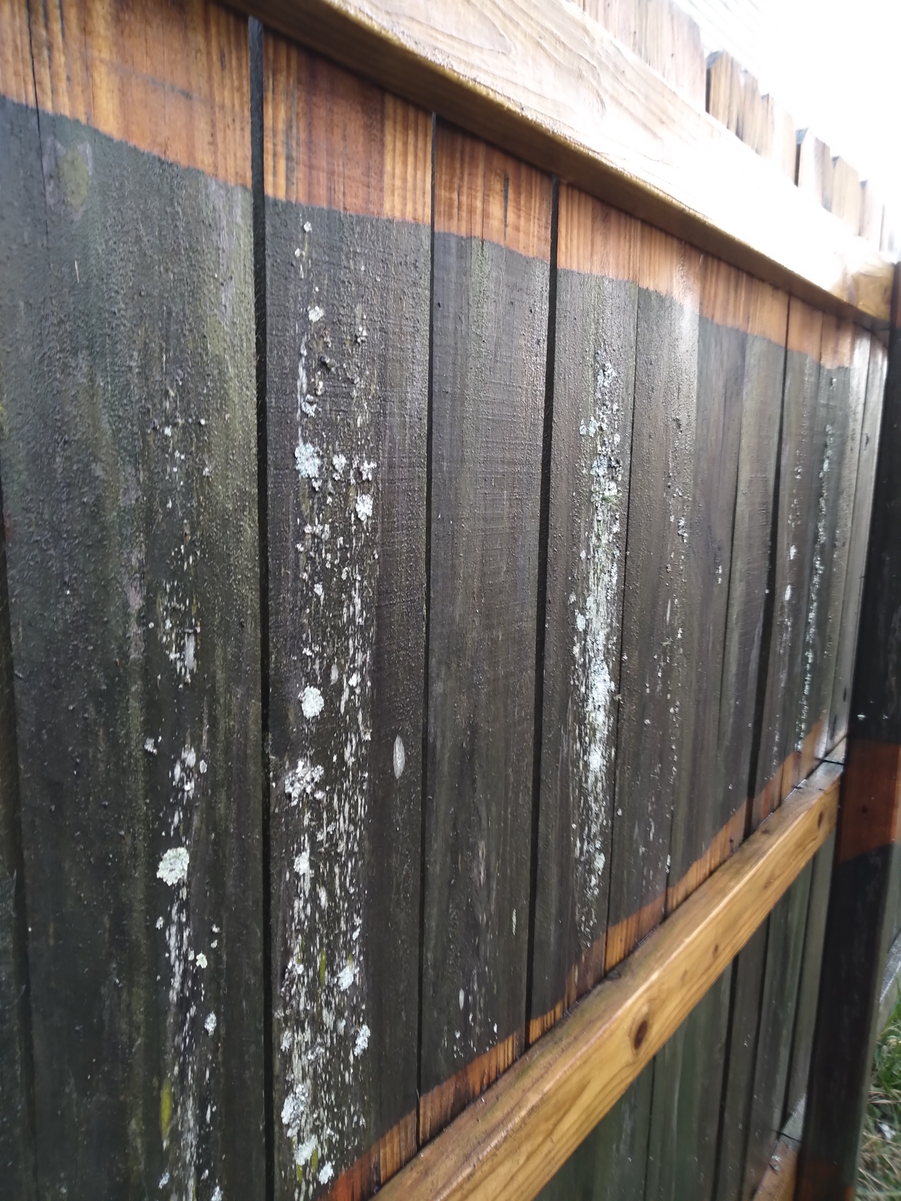 Handyman Services Reviews - Winston Salem, NC | Angi