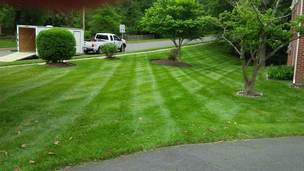 Paragon Ridge LLC Reviews - Fairfax, VA | Angi