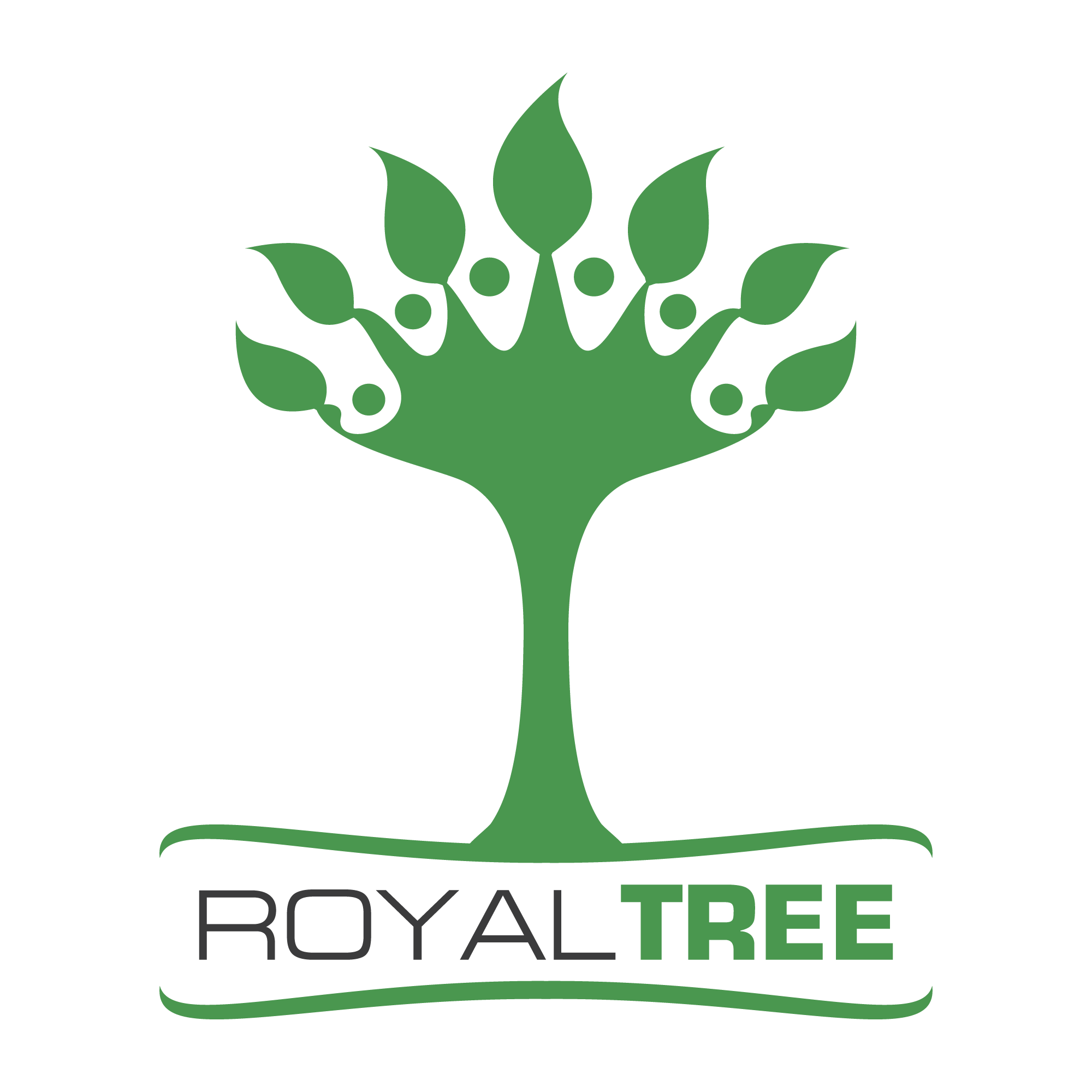 Royal Tree Services Reviews - Saint Petersburg, FL | Angi